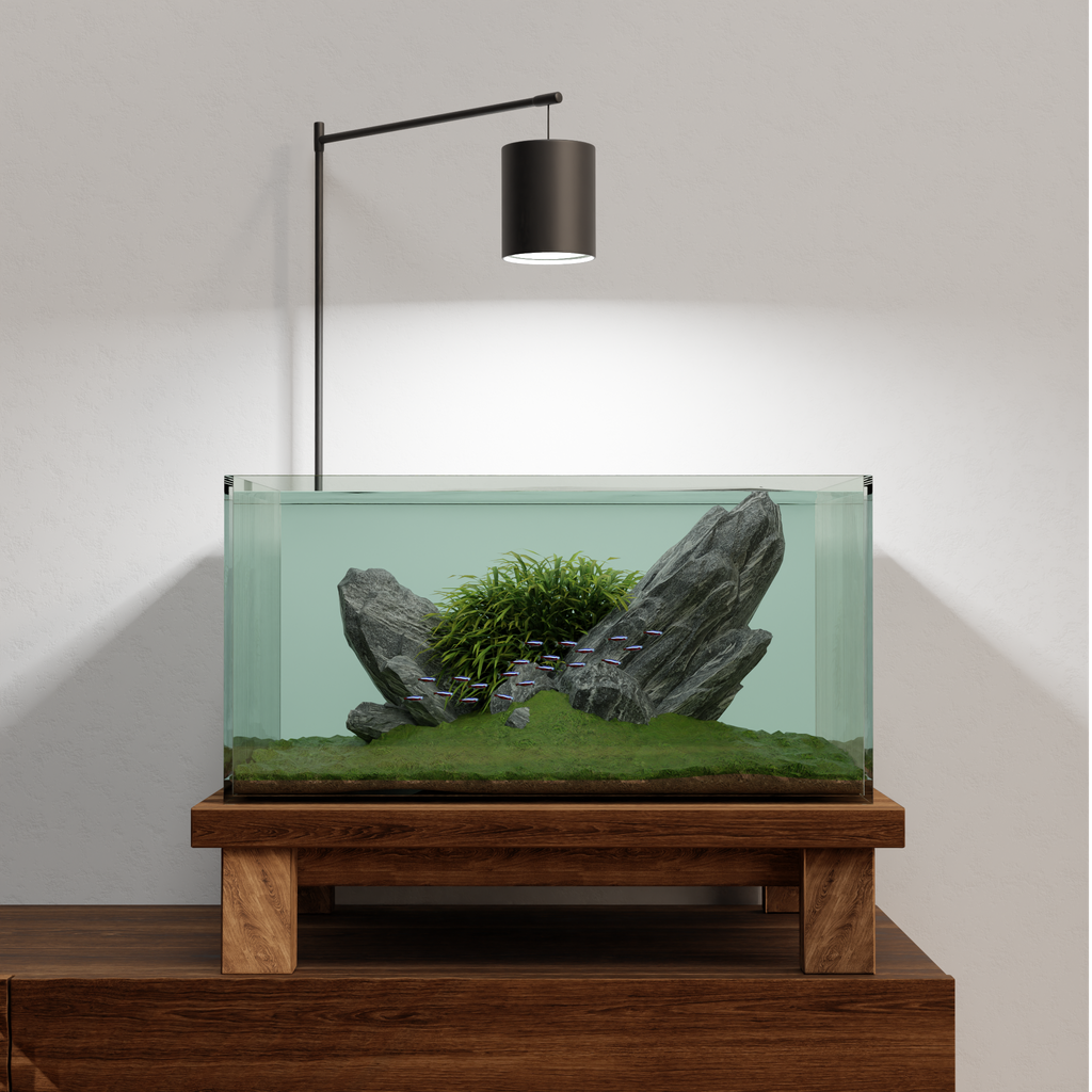 Iwagumi nano tank | Miscellaneous models | BlenderKit