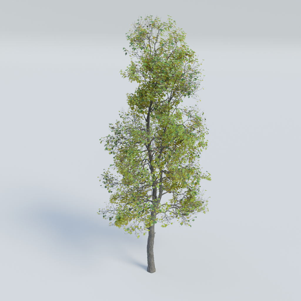 Small tree with few leaves | FREE Trees models | BlenderKit