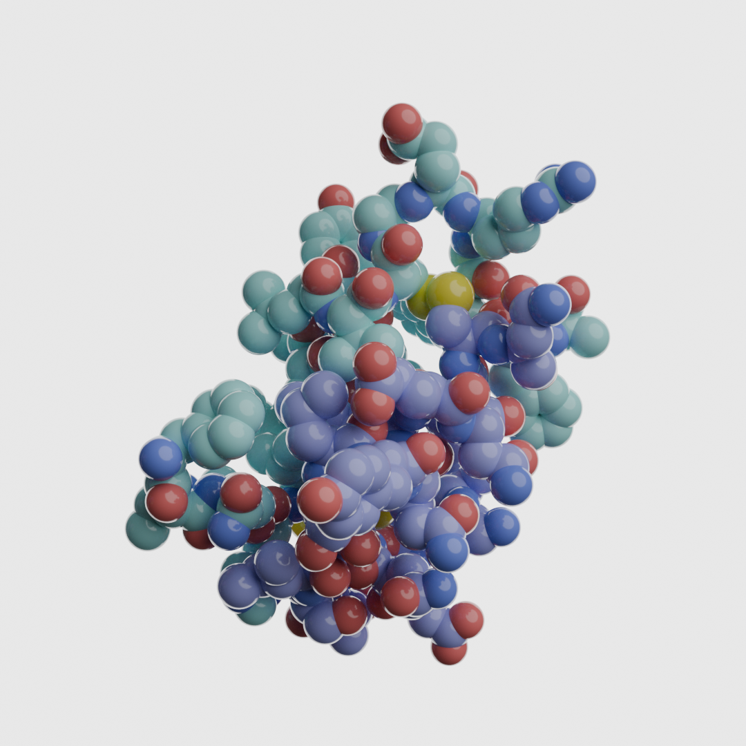 Insulin | Microbiology models | BlenderKit