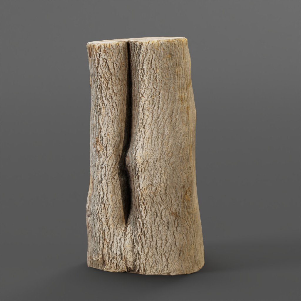 Log scan | FREE Exterior Elements models | BlenderKit
