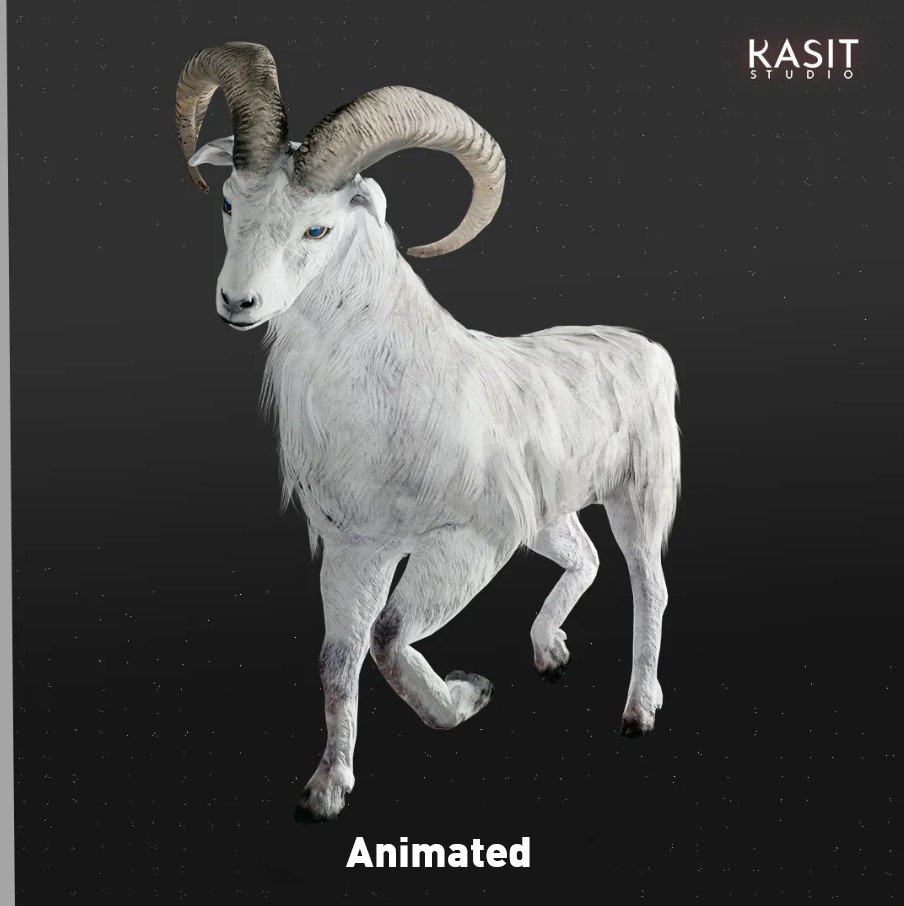 Ovis Animated | Mammals models | BlenderKit