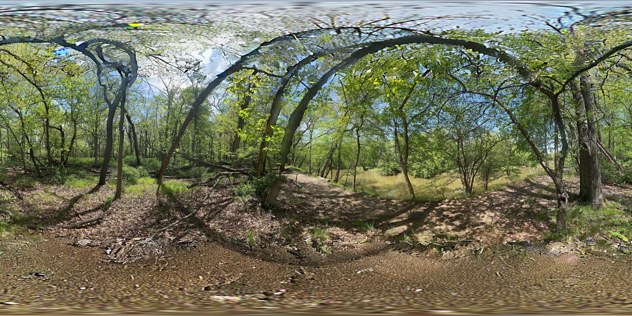 Forrest and River | Nature HDRis | BlenderKit