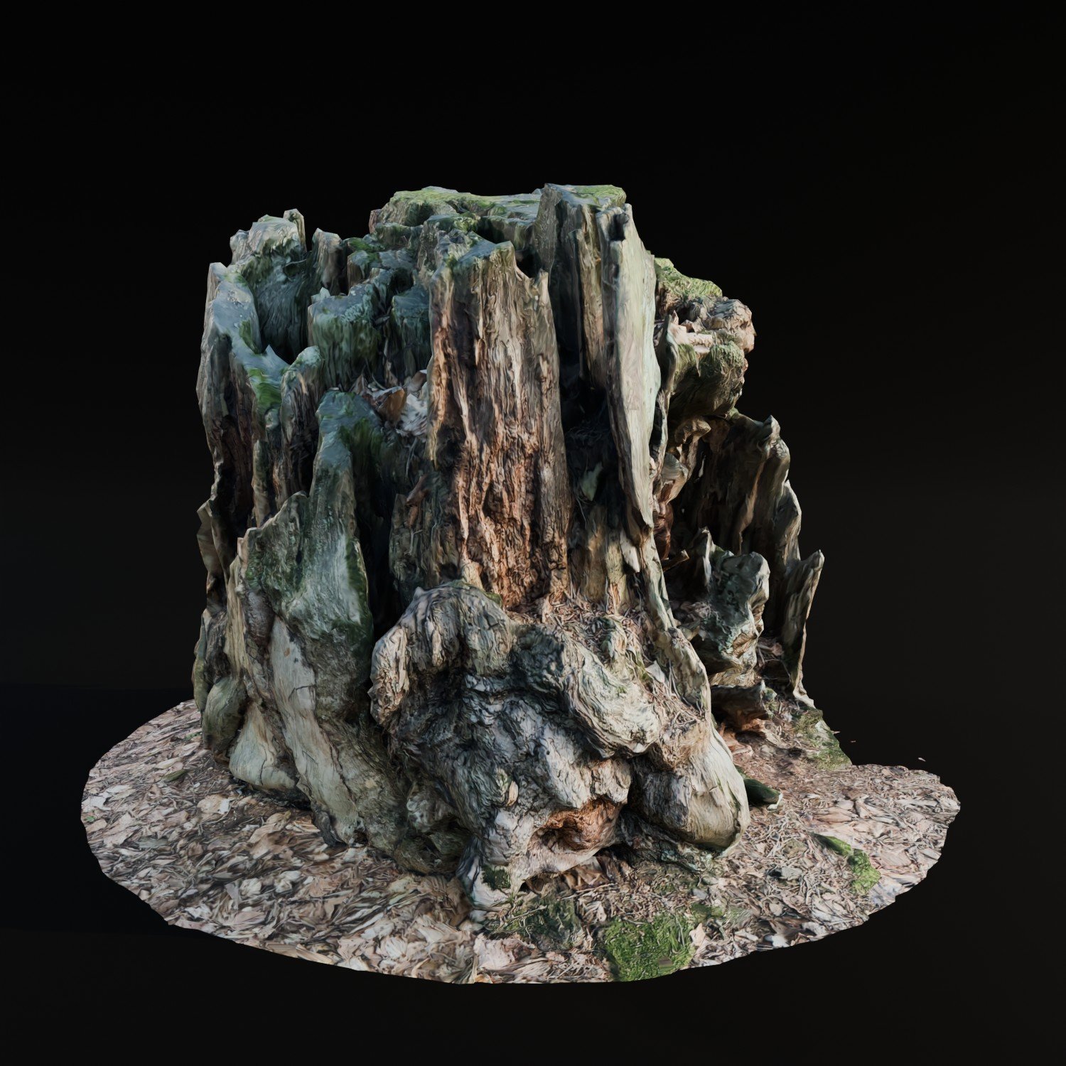 Tree stump | FREE Trees models | BlenderKit