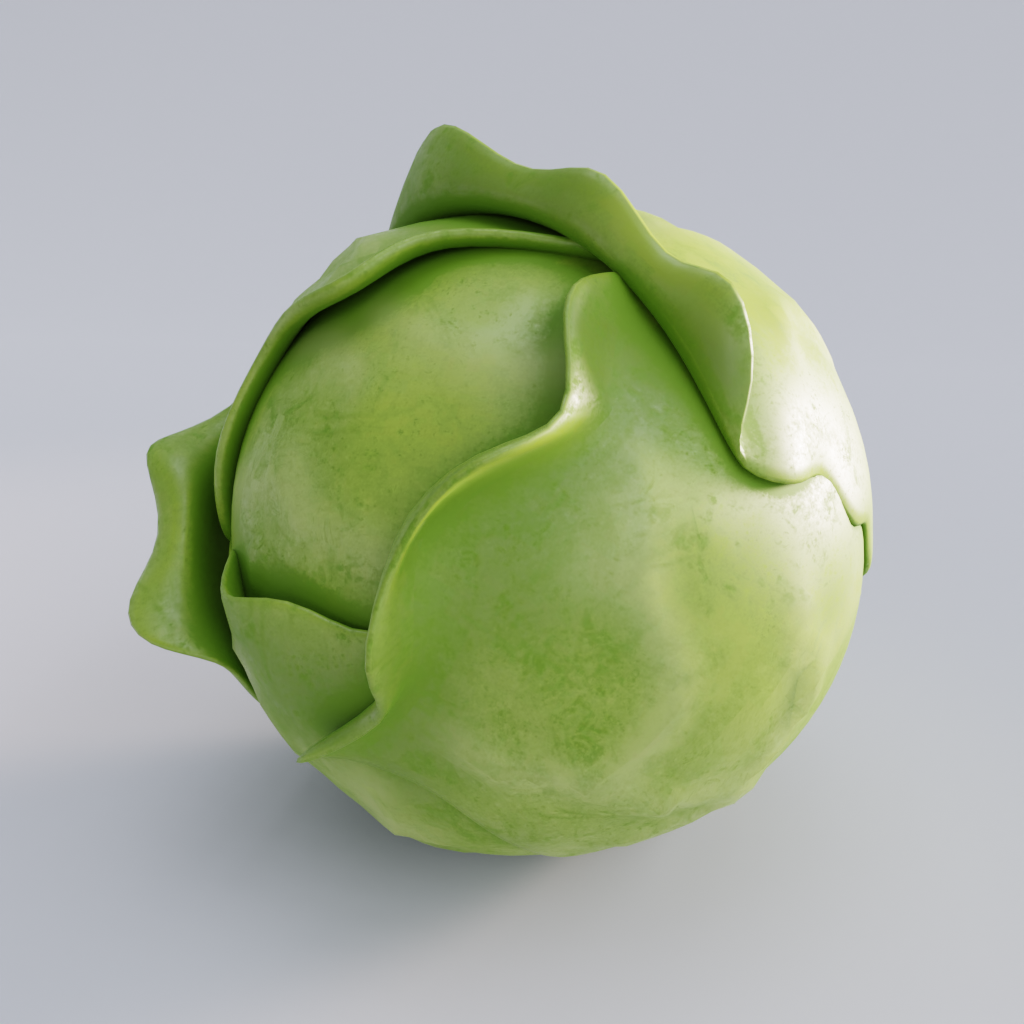 Cabbage | Outdoor Plants models | BlenderKit