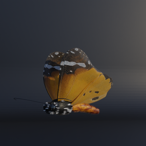 Simple Butterfly | Insects models | BlenderKit