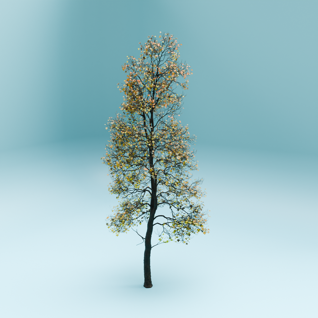 Tree variation in autumn 04 | FREE Trees models | BlenderKit