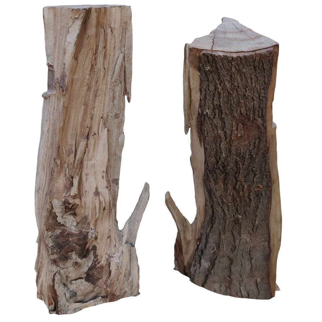 Stump cutted | FREE Trees models | BlenderKit