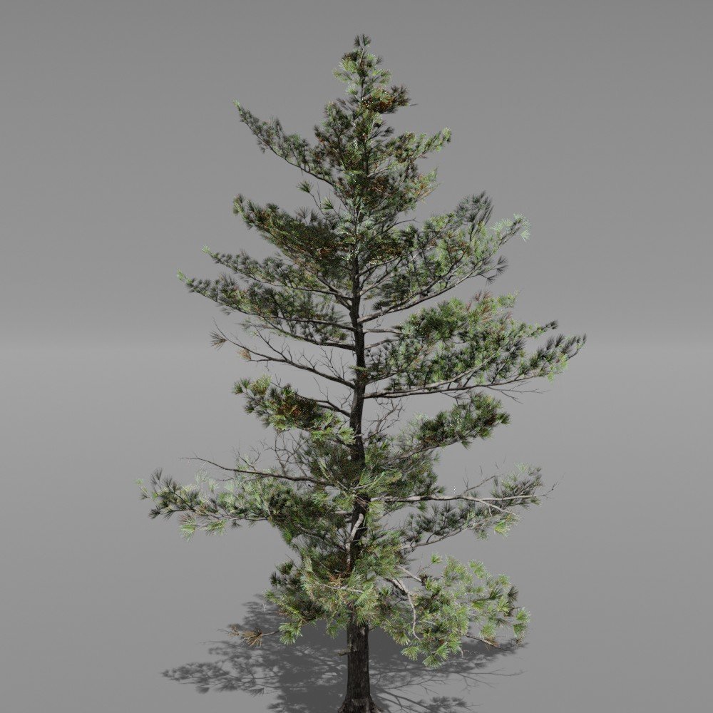 Cut log 04 - remeshed photoscan | FREE Trees models | BlenderKit