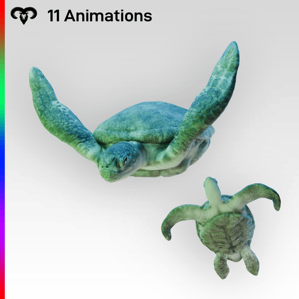 Male Turtle Animated | Fish models | BlenderKit