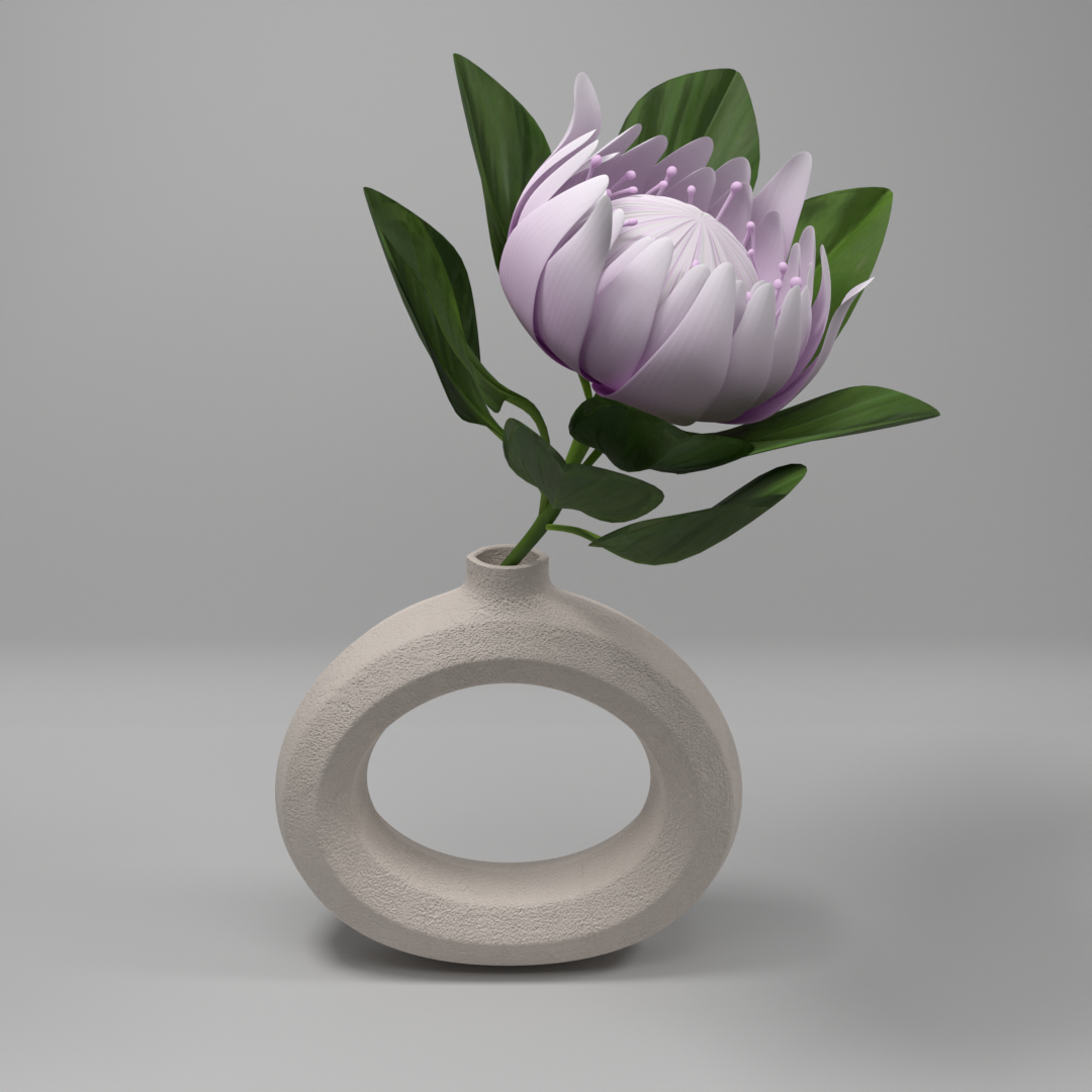 King Protea Australia Flower In Vase | Indoor Plants models | BlenderKit