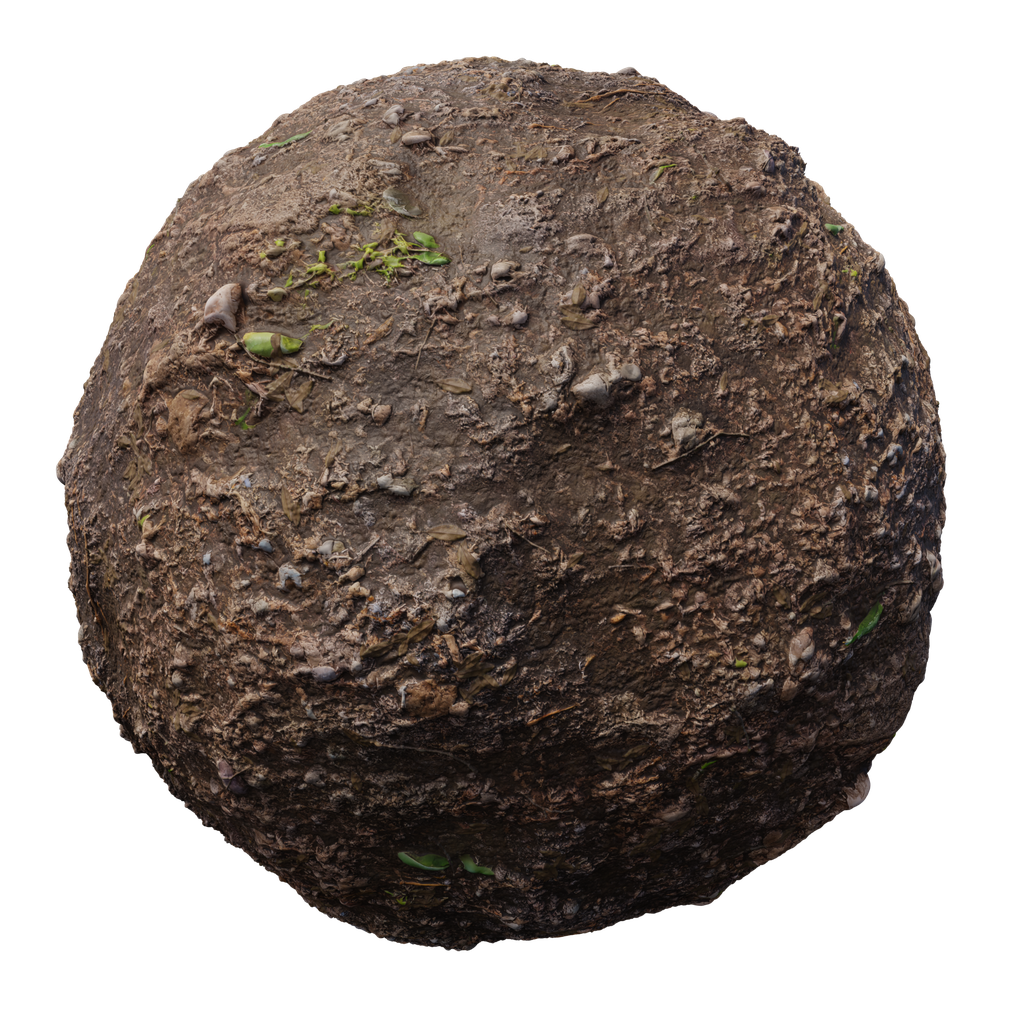 Forest Ground | FREE ground materials | BlenderKit