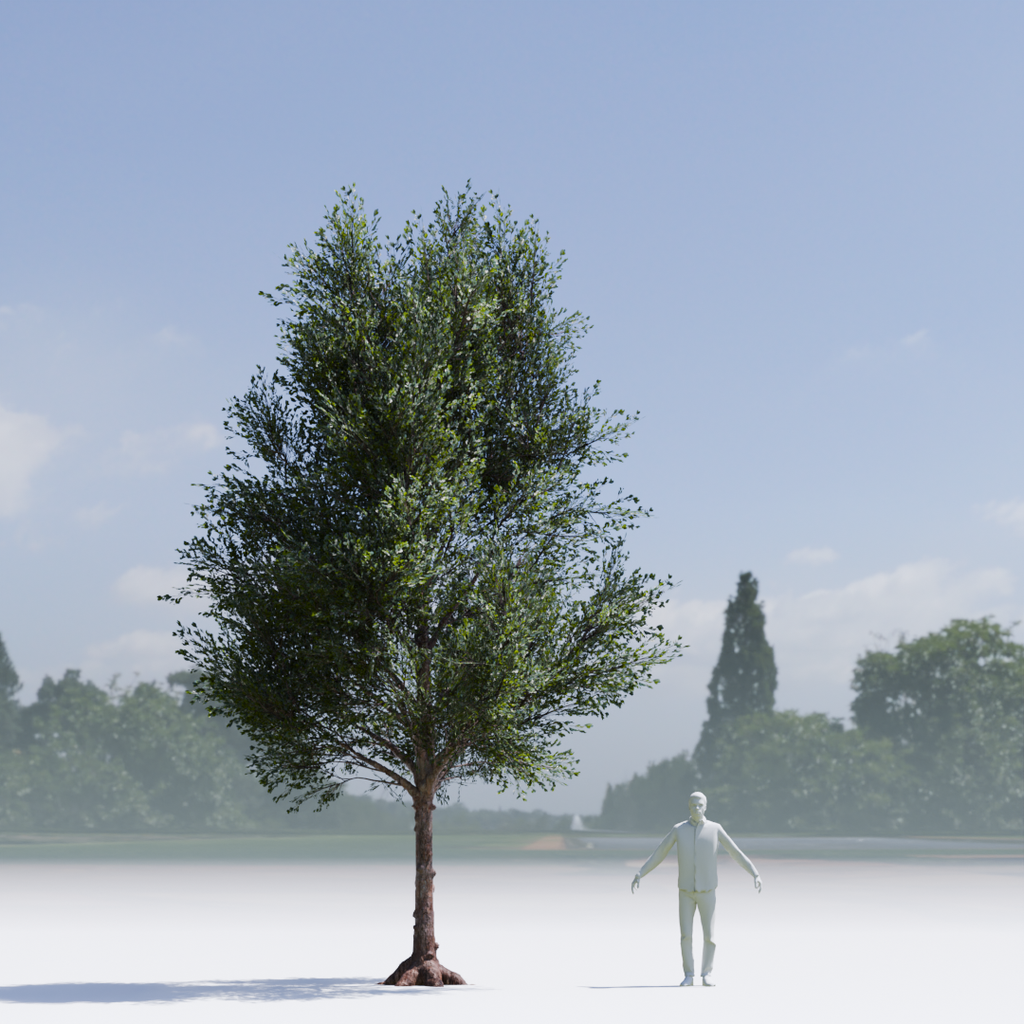 Callery Tree Low Poly | Trees models | BlenderKit