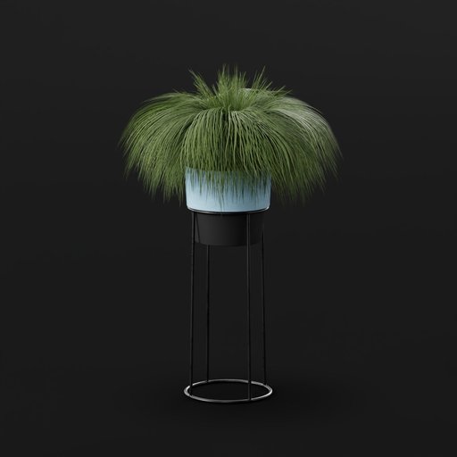 Fountain Grass High Pot | Indoor Plants models | BlenderKit