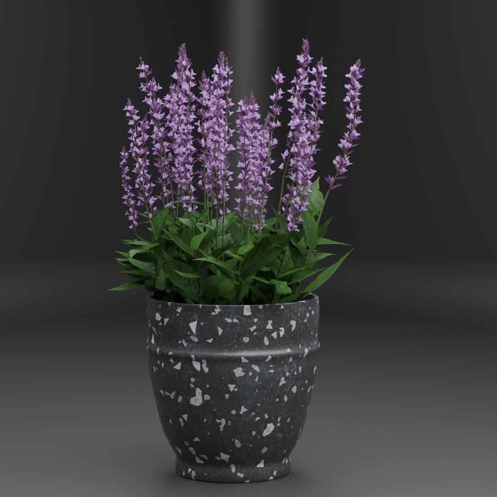 Lavender Plant Decor | Indoor Plants models | Blendkit