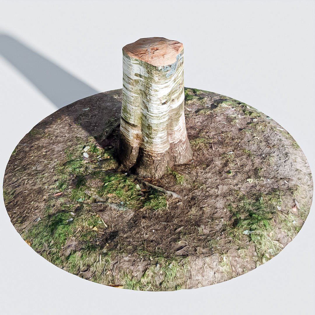 Tree Stump | Trees models | BlenderKit