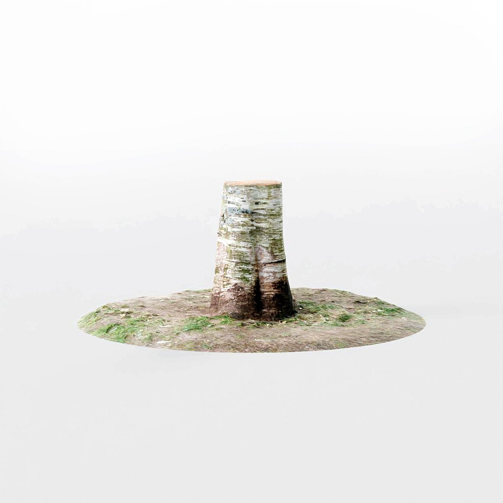 Tree Stump | 3D Tree models | BlenderKit