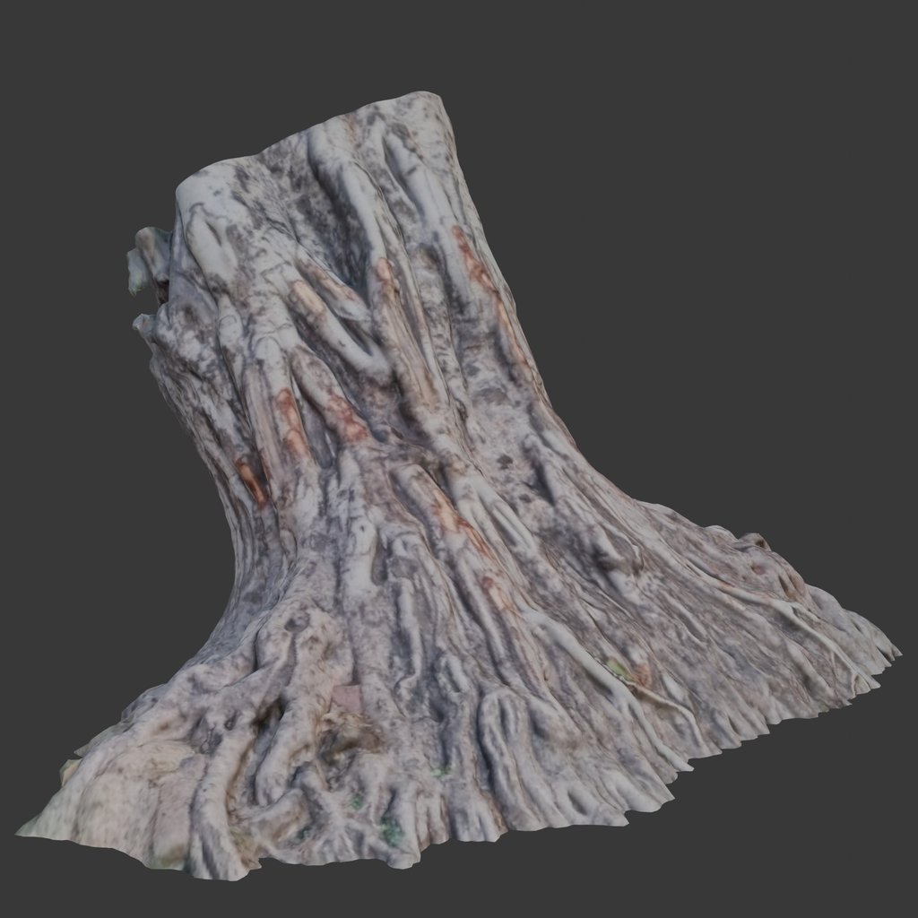Tree Gnarled Roots | FREE Environment Elements models | BlenderKit