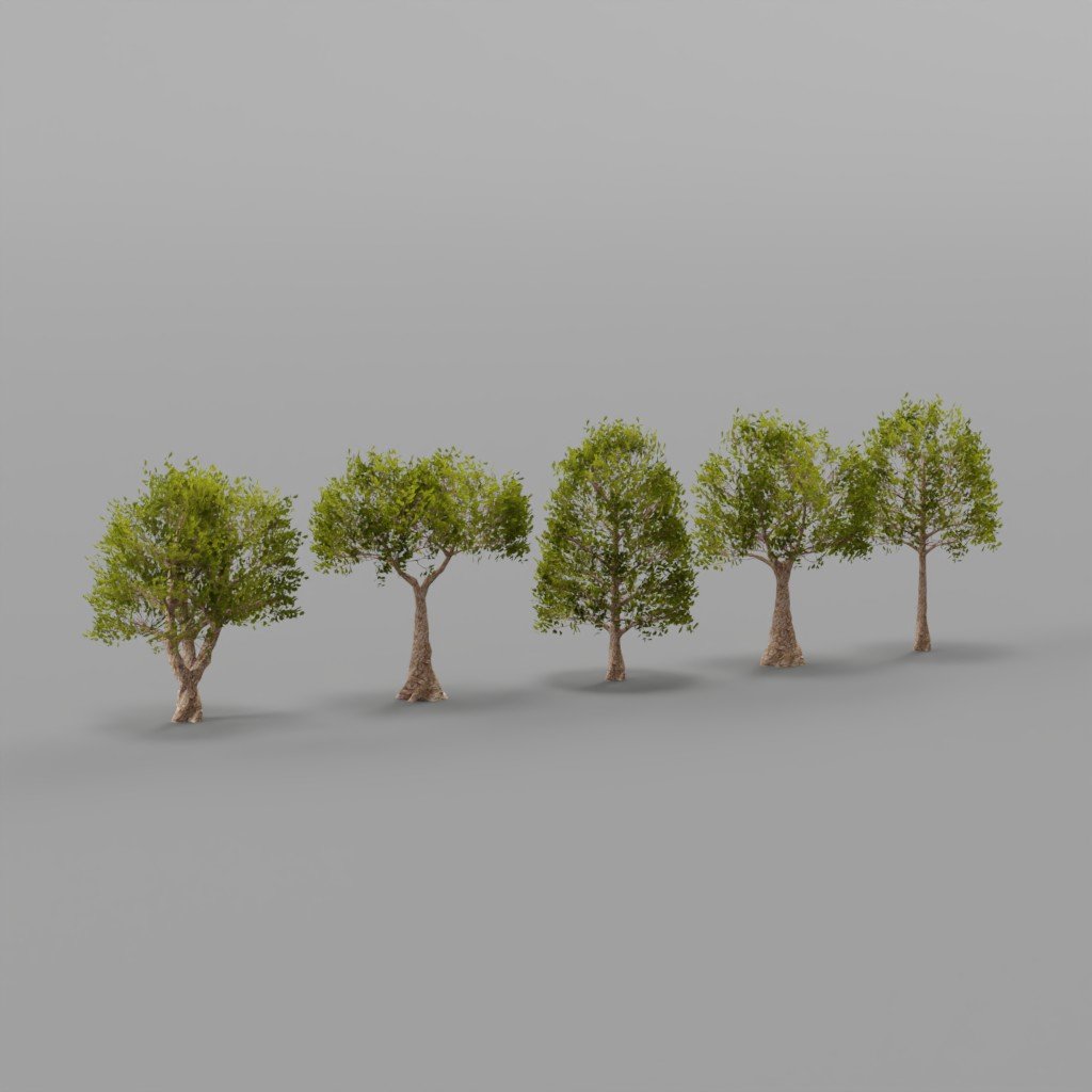 Maple Trees | Trees models | BlenderKit