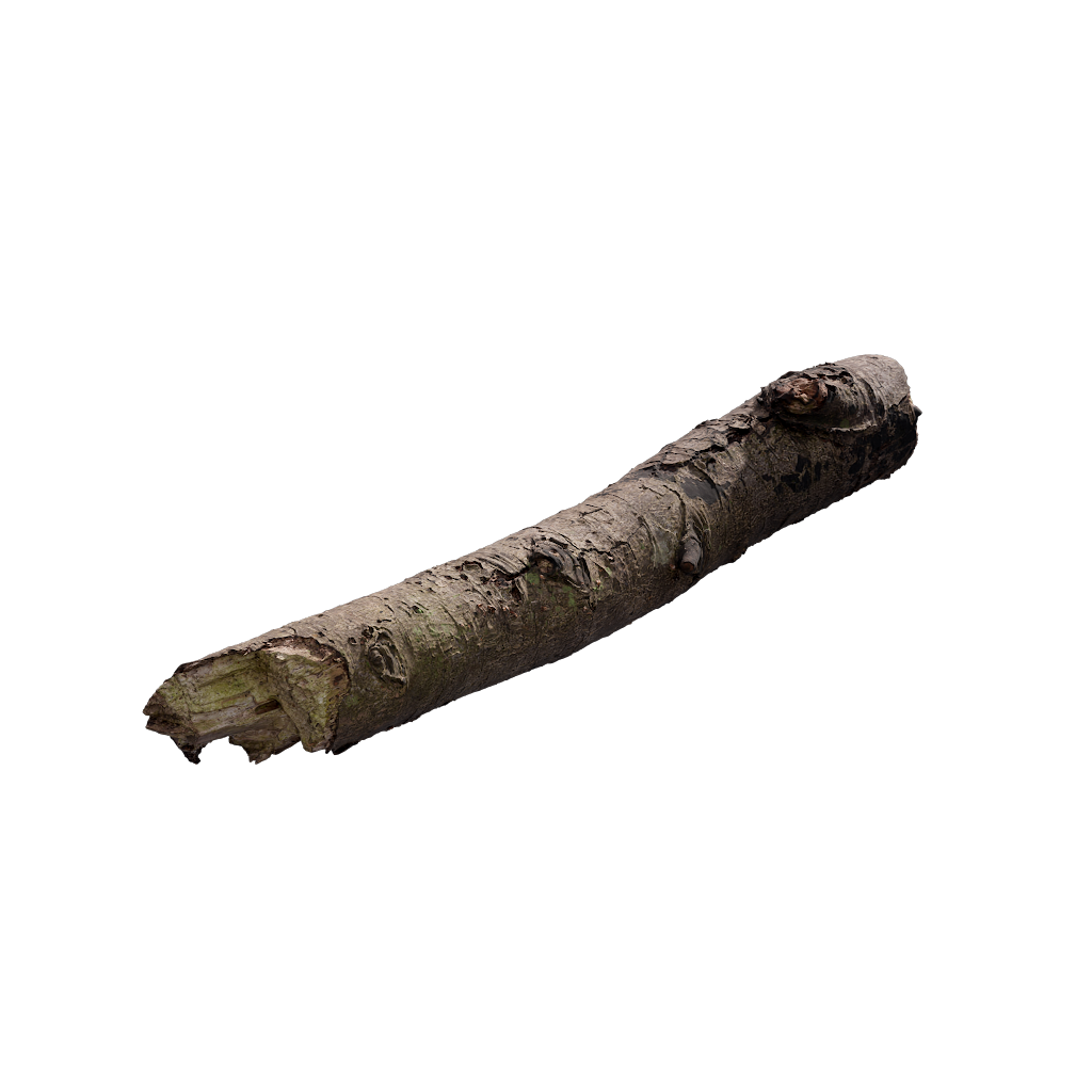 Branch | FREE Trees models | BlenderKit