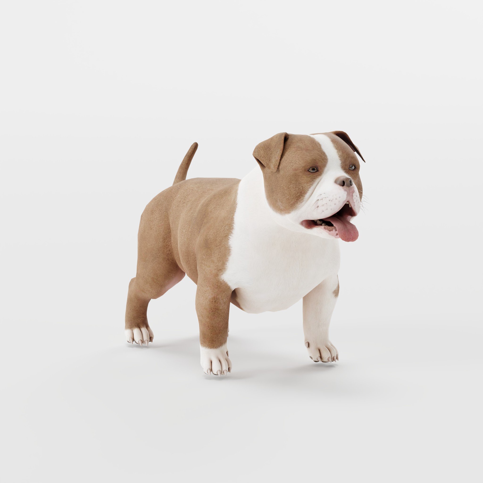 Pitbull | FREE 3D Mammal models | BlenderKit