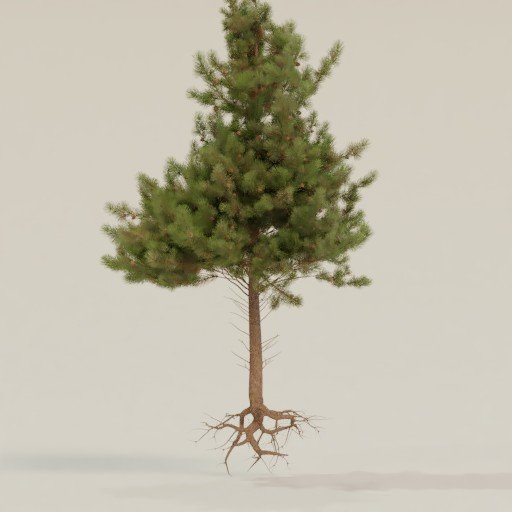 Pine tall | FREE Trees models | BlenderKit