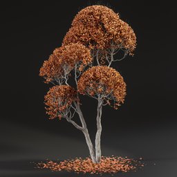 Autumn Tree | Trees models | BlenderKit