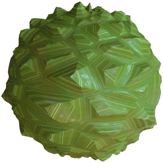 Turtle Shell - Carapace | FREE 3D organic materials | BlenderKit