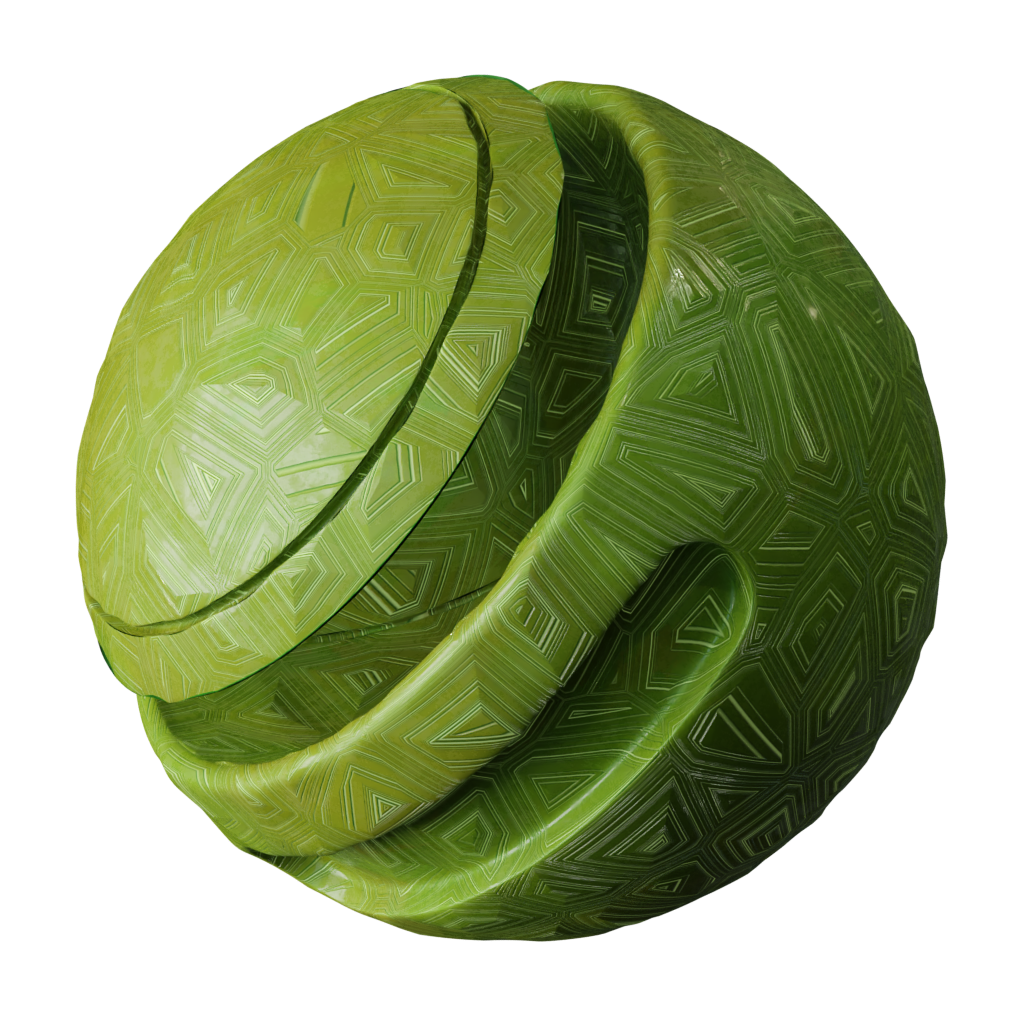 Turtle Shell - Carapace | FREE organic materials | BlenderKit
