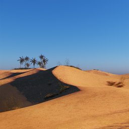 Desert Generator (Geometry Node) | Terrains models | BlenderKit