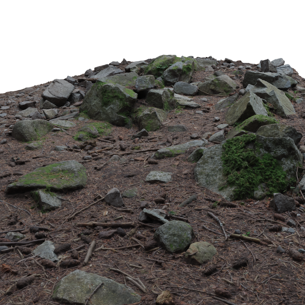 Rocky Ground in Forest | Environment Elements models | BlenderKit