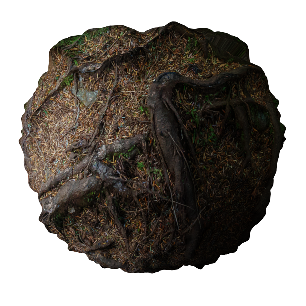 Forest Ground | FREE ground materials | BlenderKit