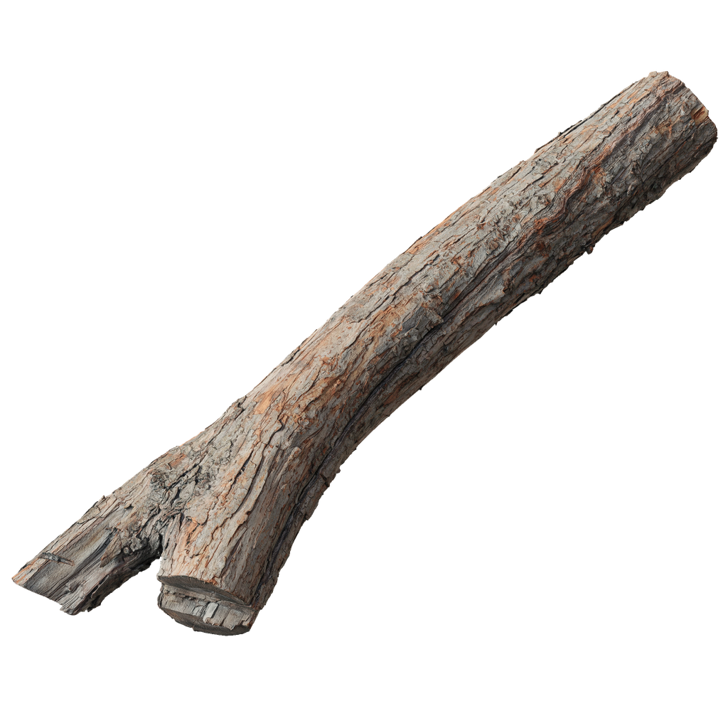 Log scan | Trees models | BlenderKit