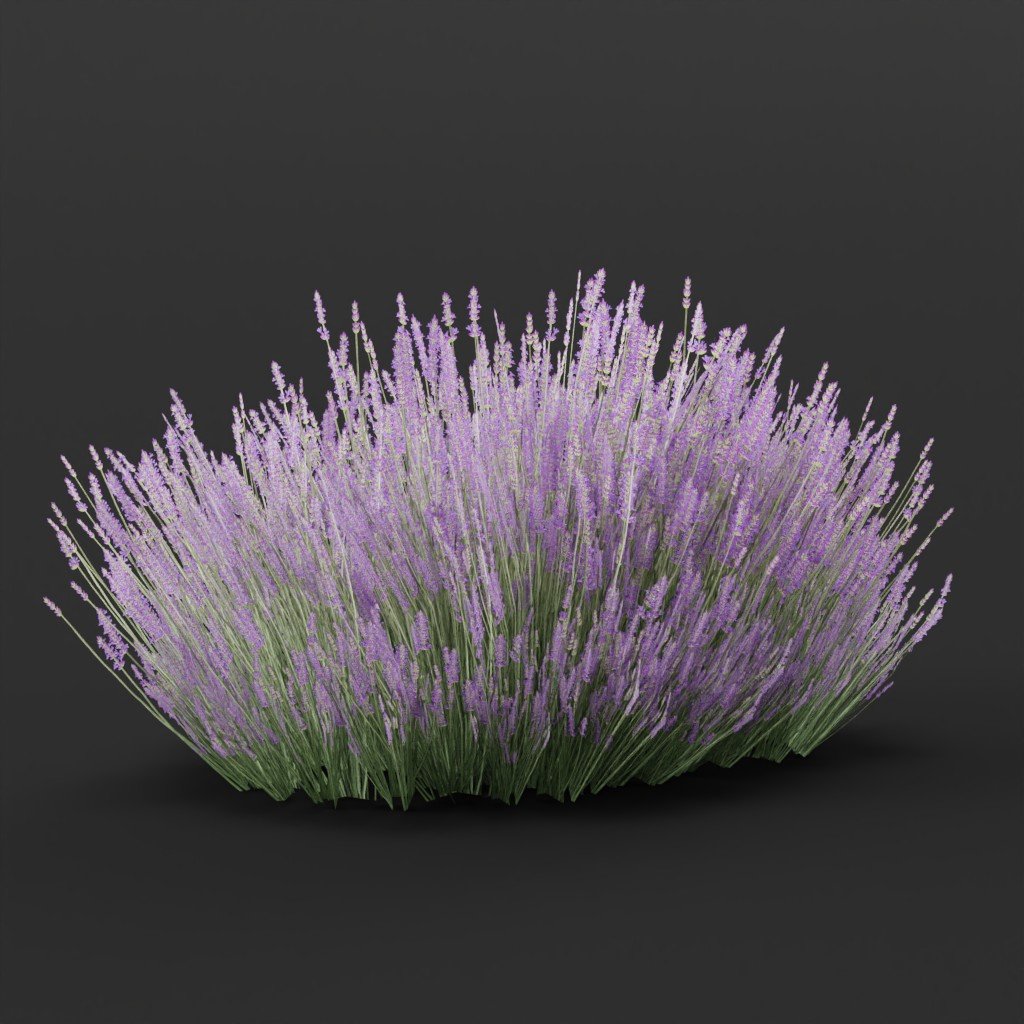 Lavender Flower Large Variation | Outdoor Plants models | BlenderKit