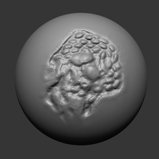 NS Zombie open wound maggots | Animal / Creature Scar & Wound brushes ...