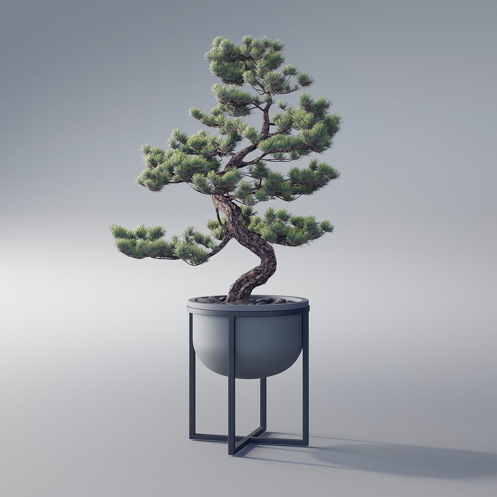 Bonsai tree | Indoor Plants models | BlenderKit