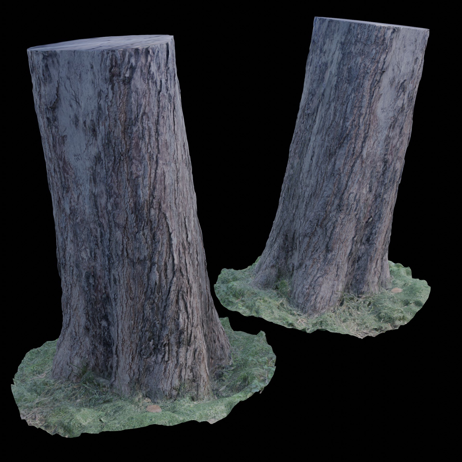 Trunk scan | FREE Trees models | BlenderKit