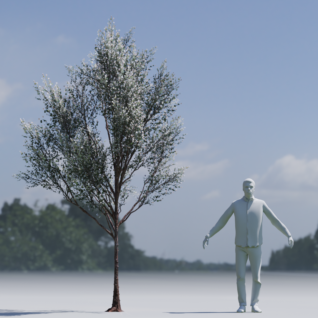 Flowered Tree Low Poly Animated | Trees models | BlenderKit