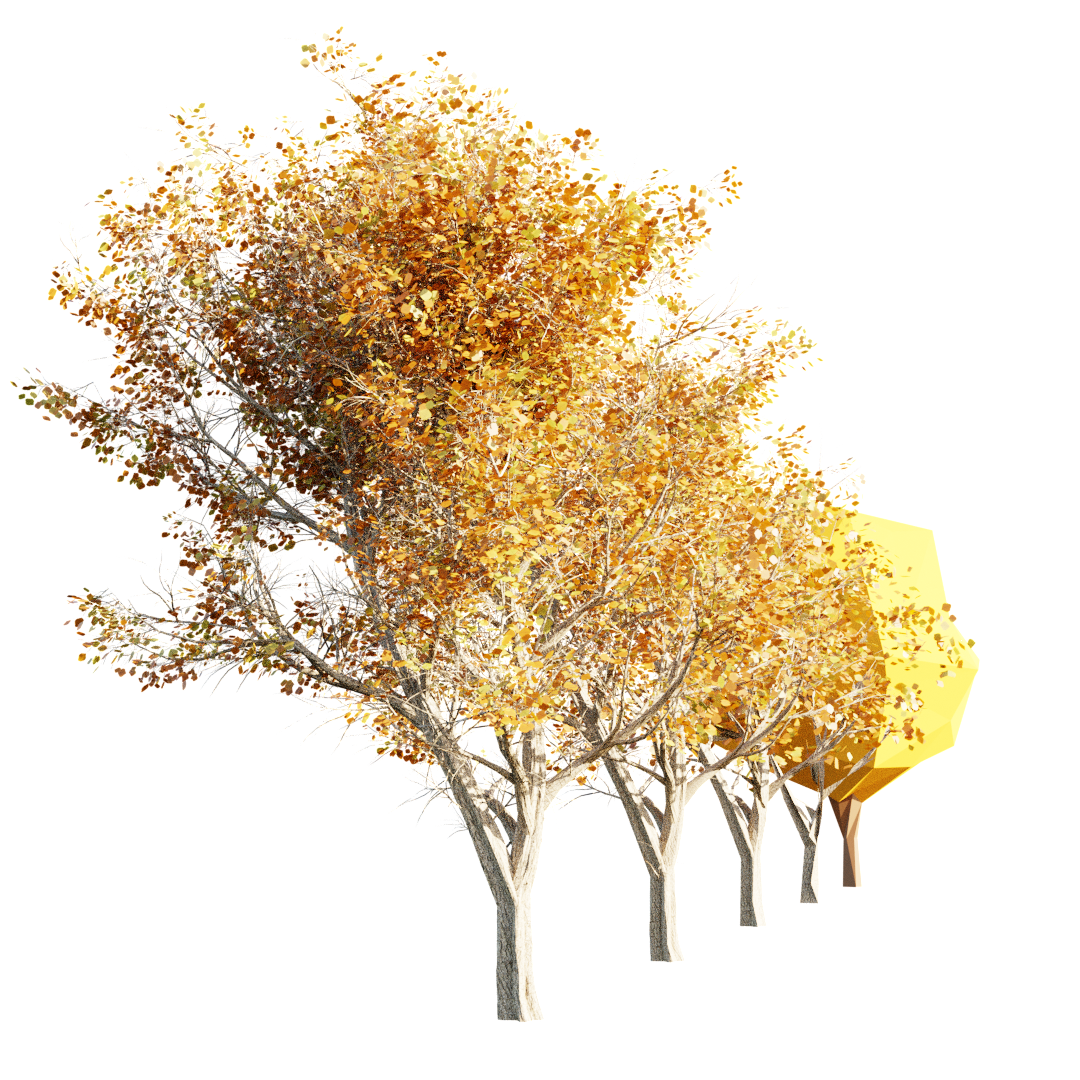 Tree with 4 LOD and PROXY - Autumn | Trees models | BlenderKit