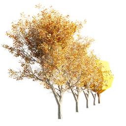 Tree with 4 LOD and PROXY - Autumn | Trees models | BlenderKit