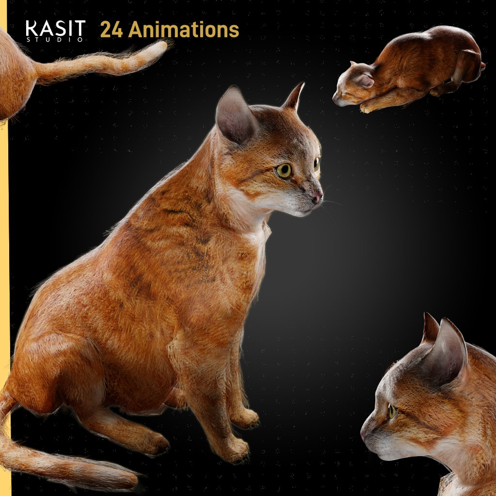 Orange Cat Animated | Mammals models | BlenderKit