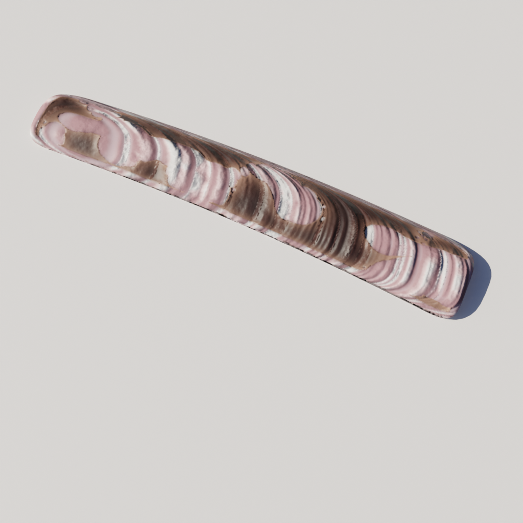 Seashell Razor Clam - less skin - l | FREE Nature models | BlenderKit