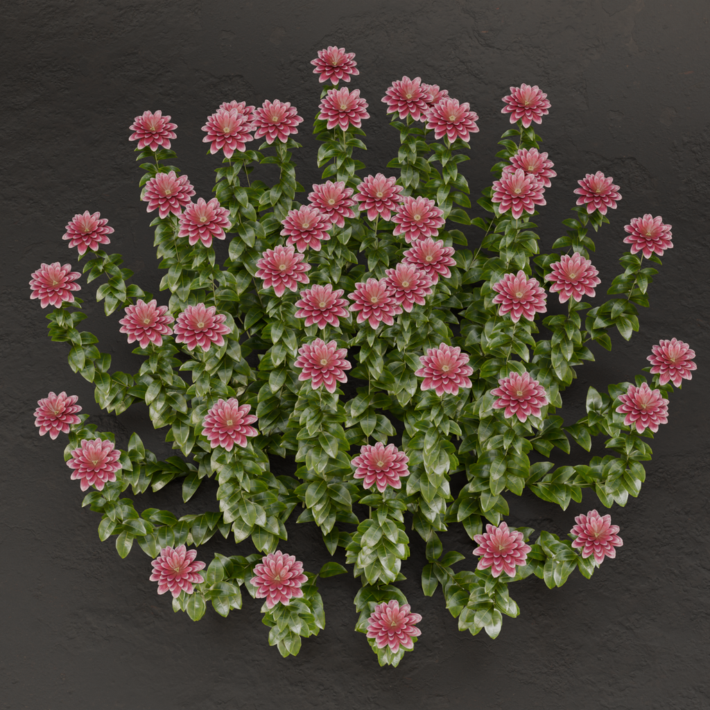 SJ-Mystic Floral Shrub | Outdoor Plants models | BlenderKit