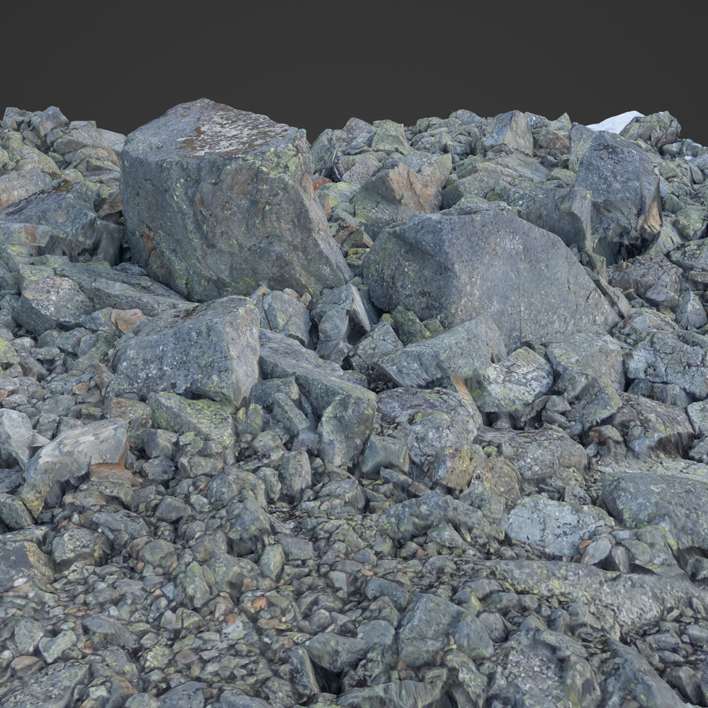 Rocky Boulder Field Photoscan | Terrains models | BlenderKit