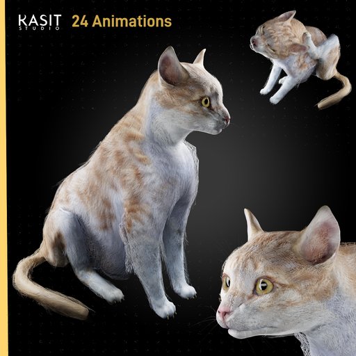 Orange Cat Animated | Mammals models | BlenderKit