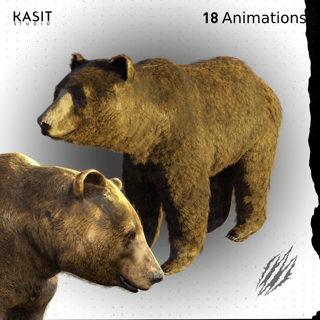 Bear Animated & Riged | Mammals models | BlenderKit