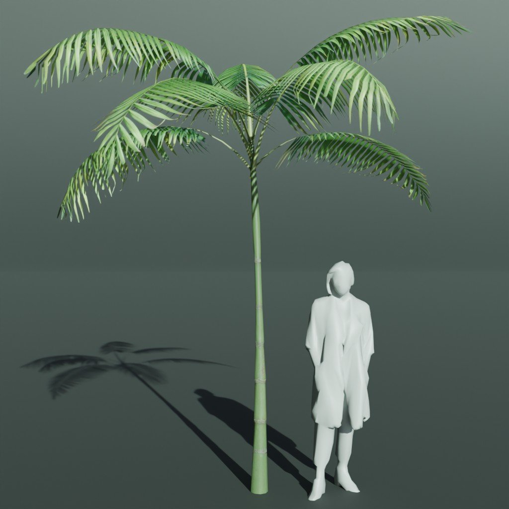 Tropical Palm Tree Small | Trees models | BlenderKit