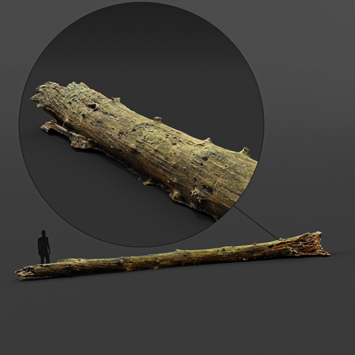 Fallen Tree Trunk Long | Environment Elements models | BlenderKit
