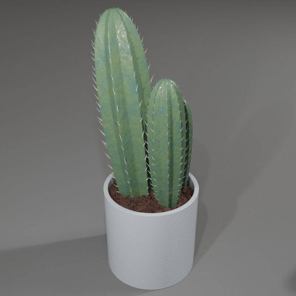 Cactus | Interior Decorations models | BlenderKit