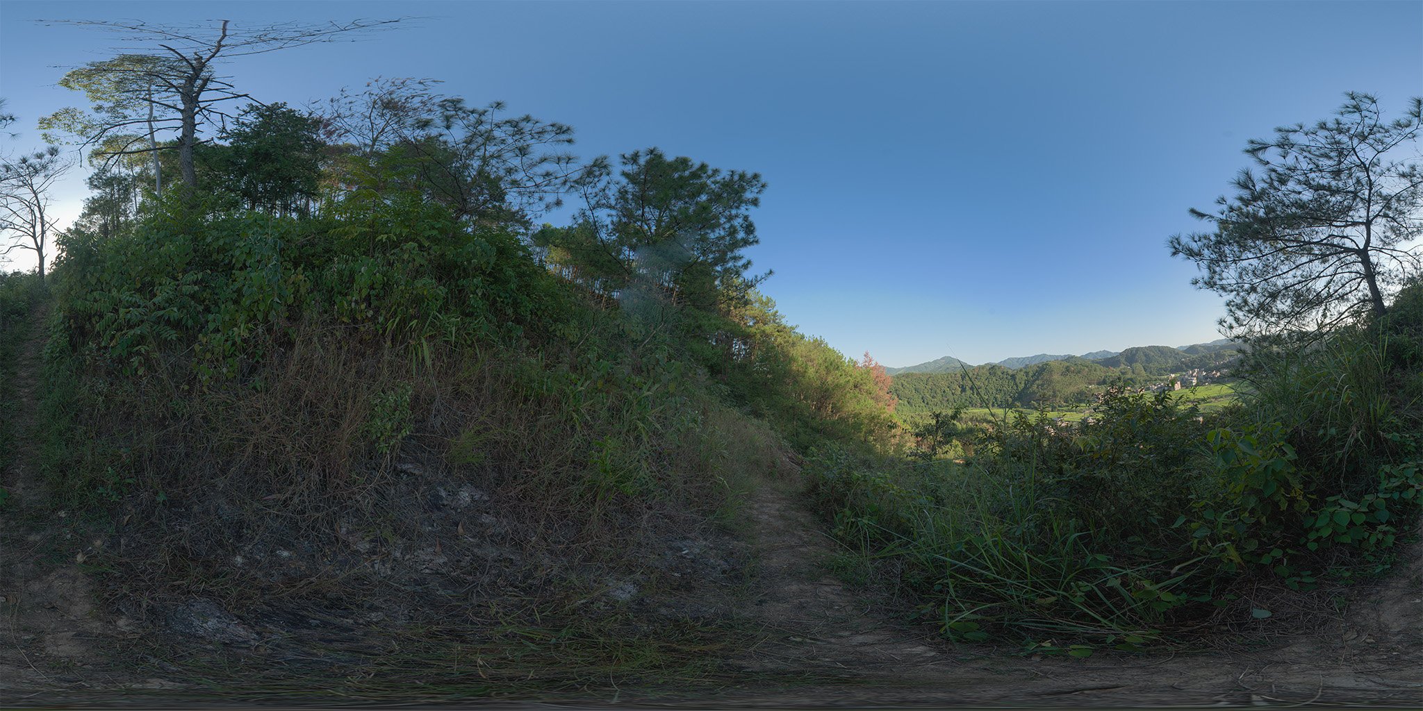 Afternoon Hill Road | Nature HDRis | BlenderKit