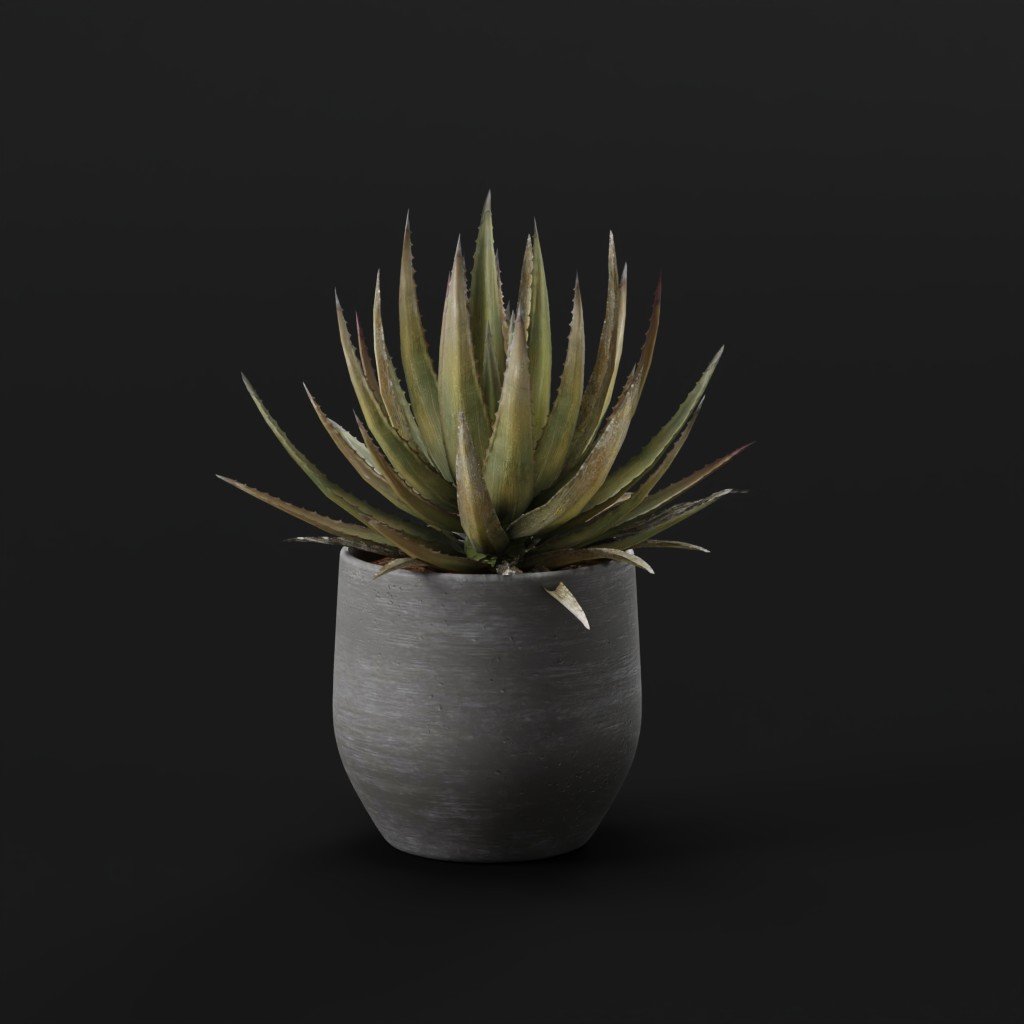 BlenderKit | Download the Plant Lech Agave Pot model